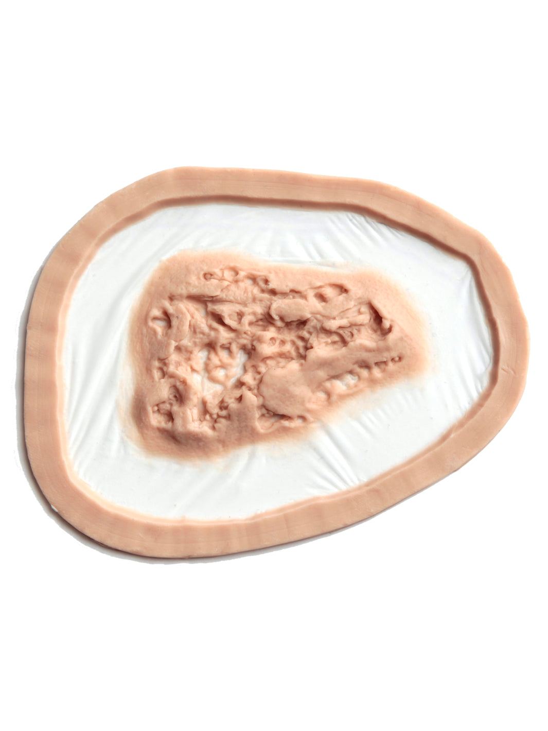 Decayed Flesh Wound 1 | Prosthetics | Monster FX – MonsterFX