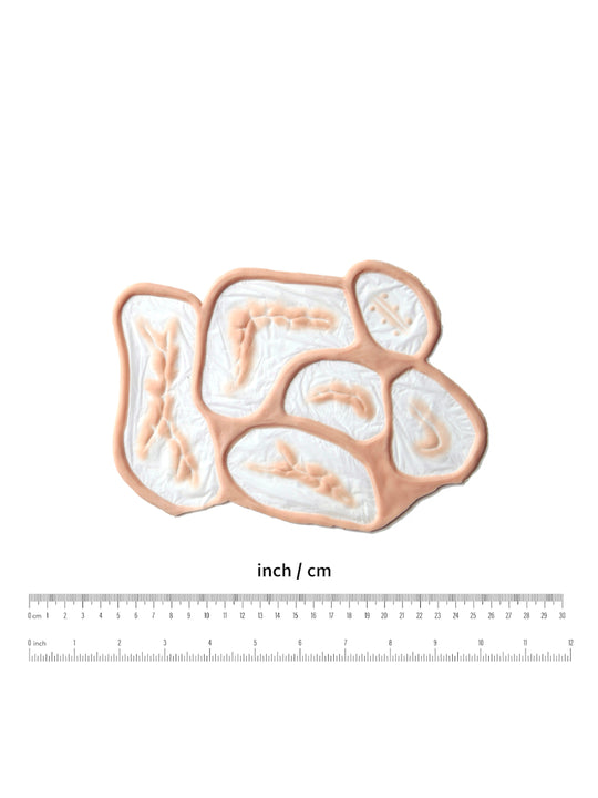 Burns & Scars | Prosthetics | MonsterFX