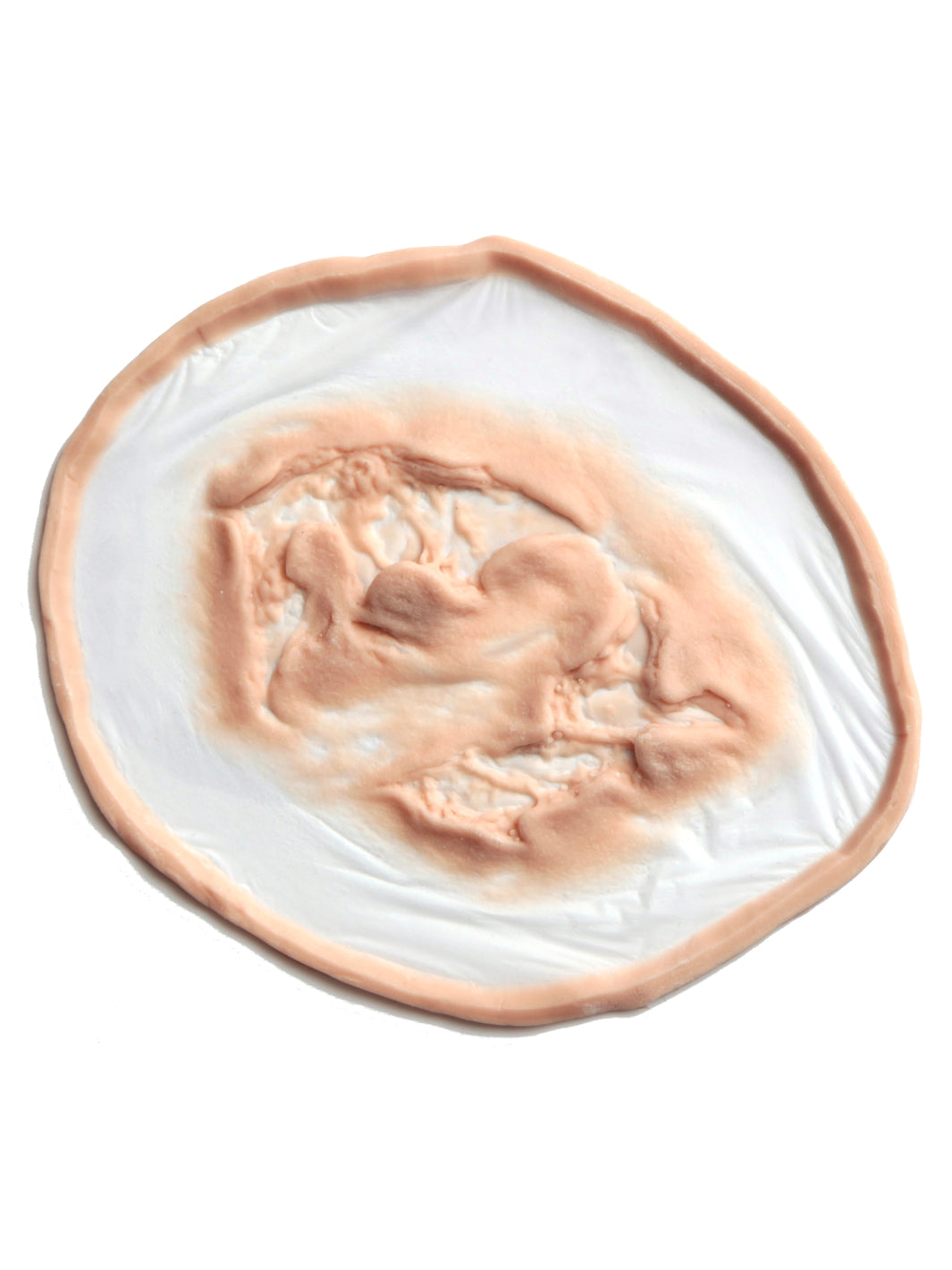 Zombie Bite 1 | Prosthetics | MonsterFX