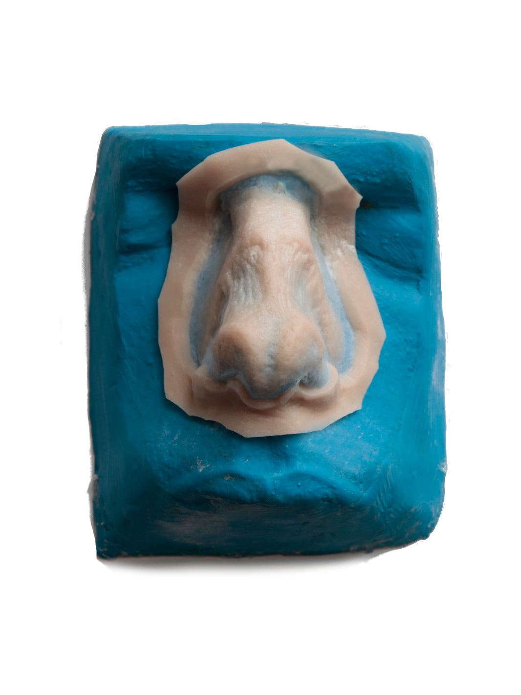 Zombie Nose | Prosthetics | MonsterFX