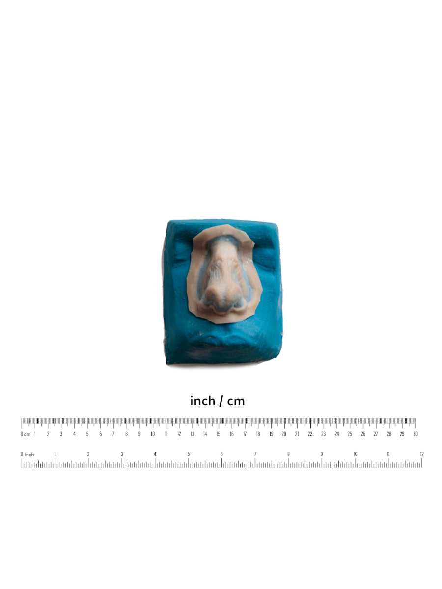 Zombie Nose | Prosthetics | MonsterFX